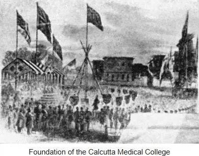 From the Inception to the First Dissection – CMC - The Doctors dialogue