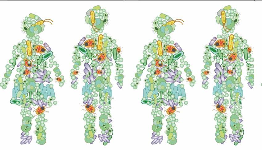 Dancing with the Bacteria: A new metaphor for our times - The Doctors ...