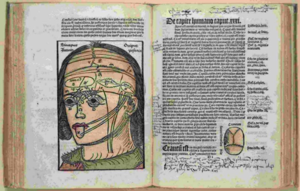 Dissection without Knife and Anatomist: Two Anatomies and the Two ...