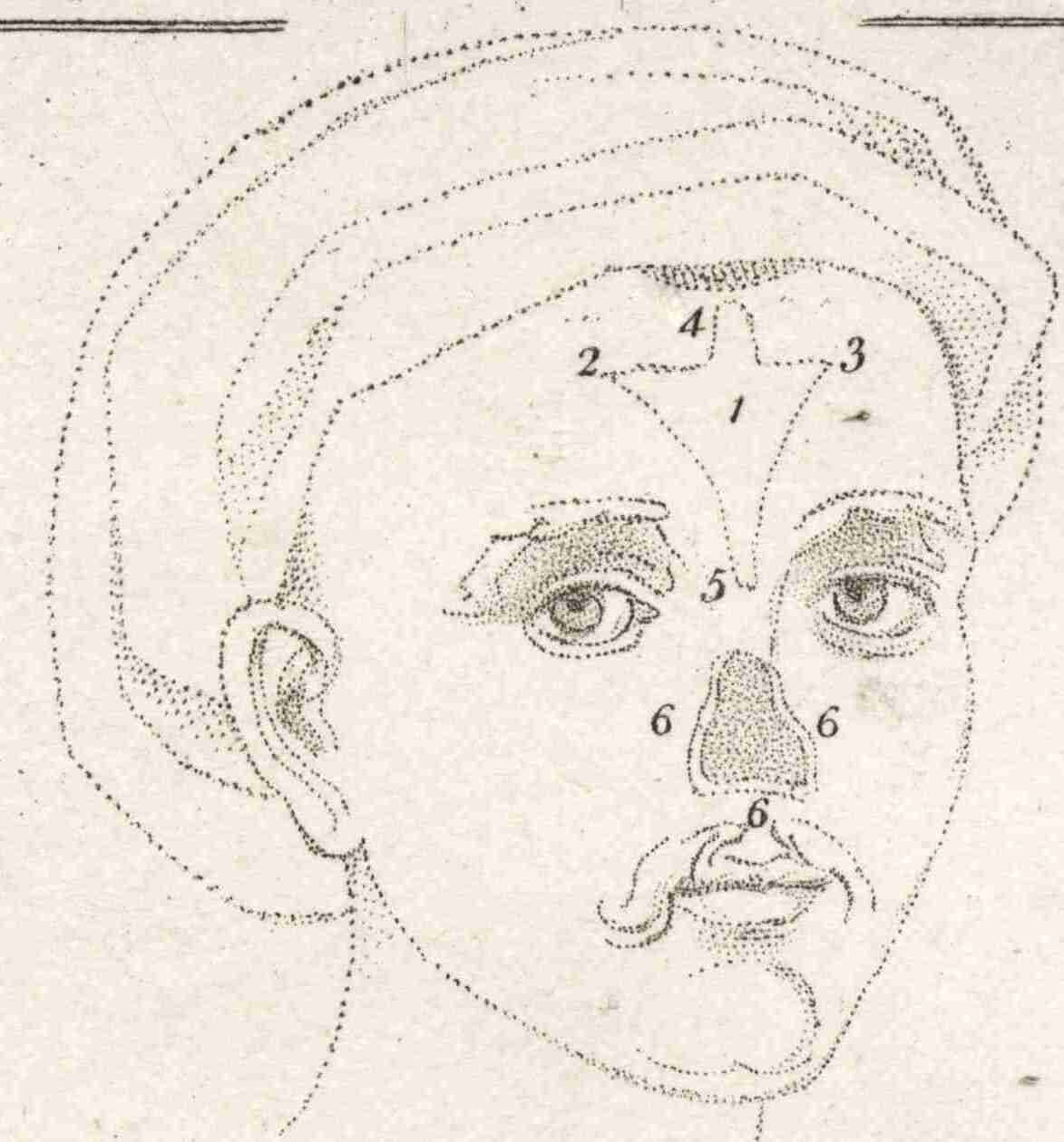 Dissection without Knife and Anatomist: Two Anatomies and the Two ...